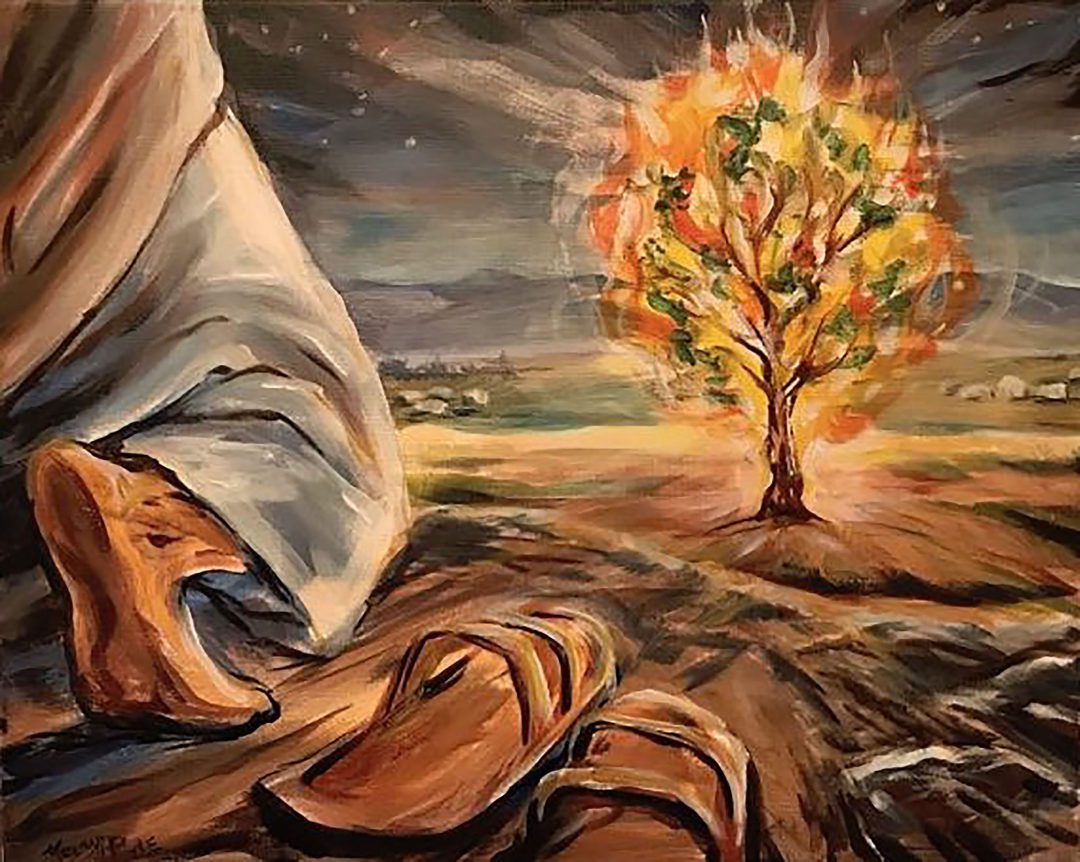 Coming Home to Our Good Shepherd - Coracle