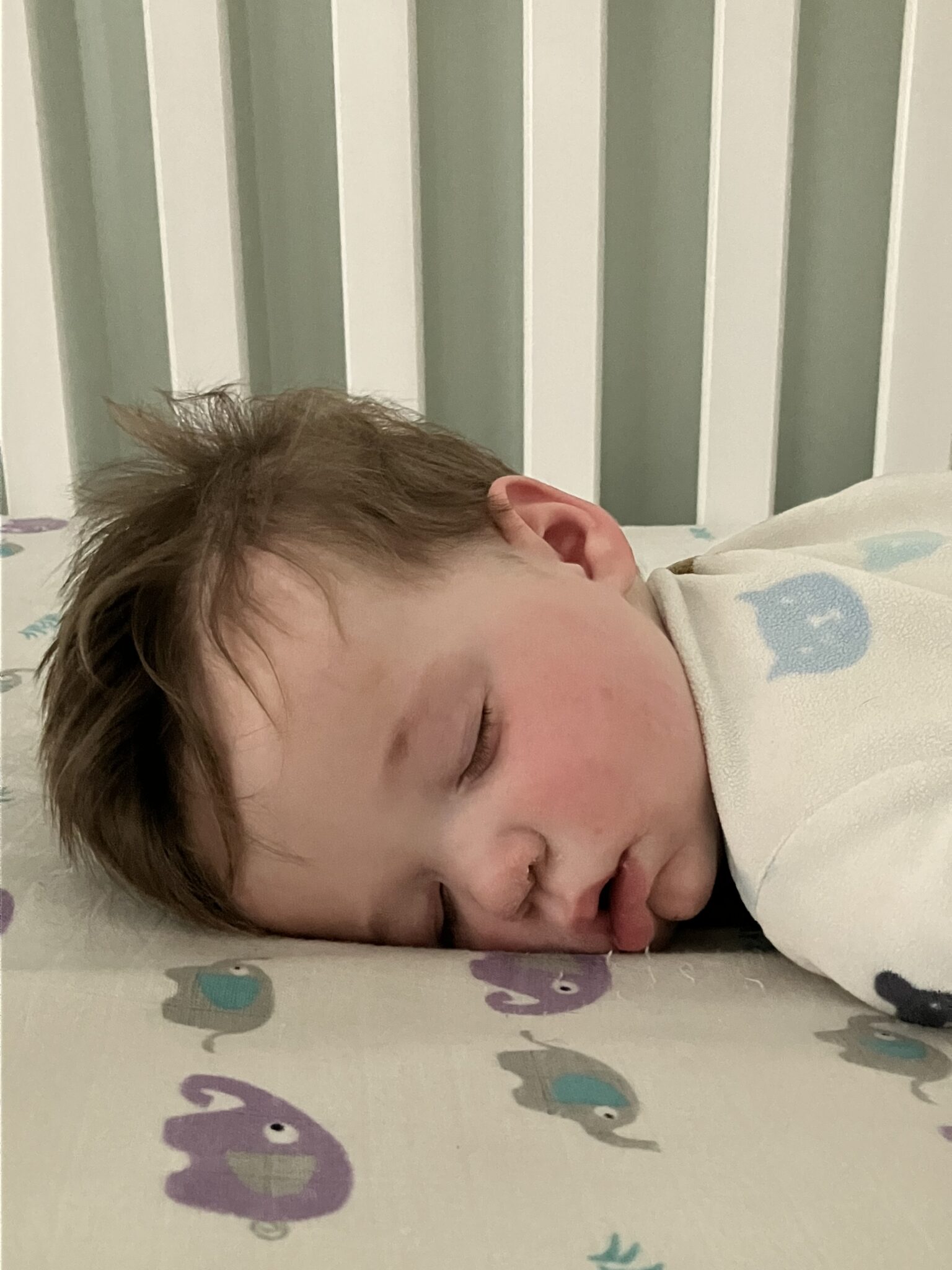 A Reflection on Peace - Coracle