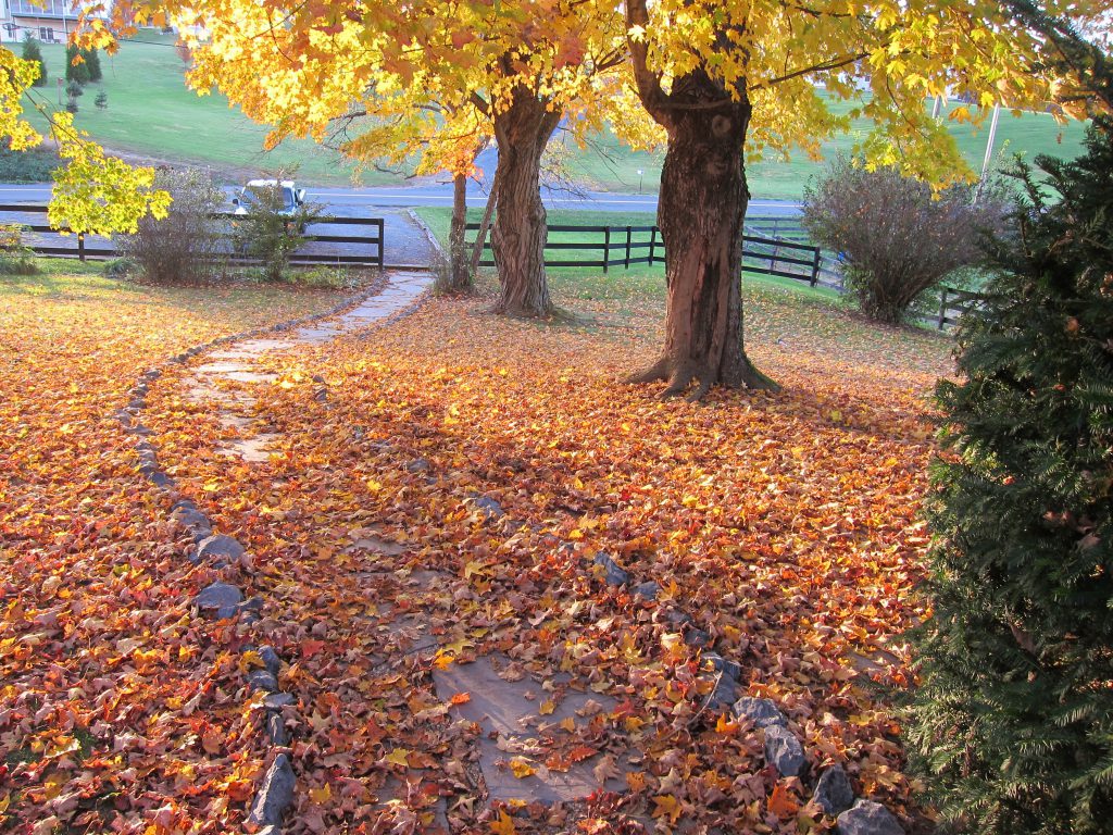 SOUNDINGS - The Sacrament of Falling Leaves - Coracle