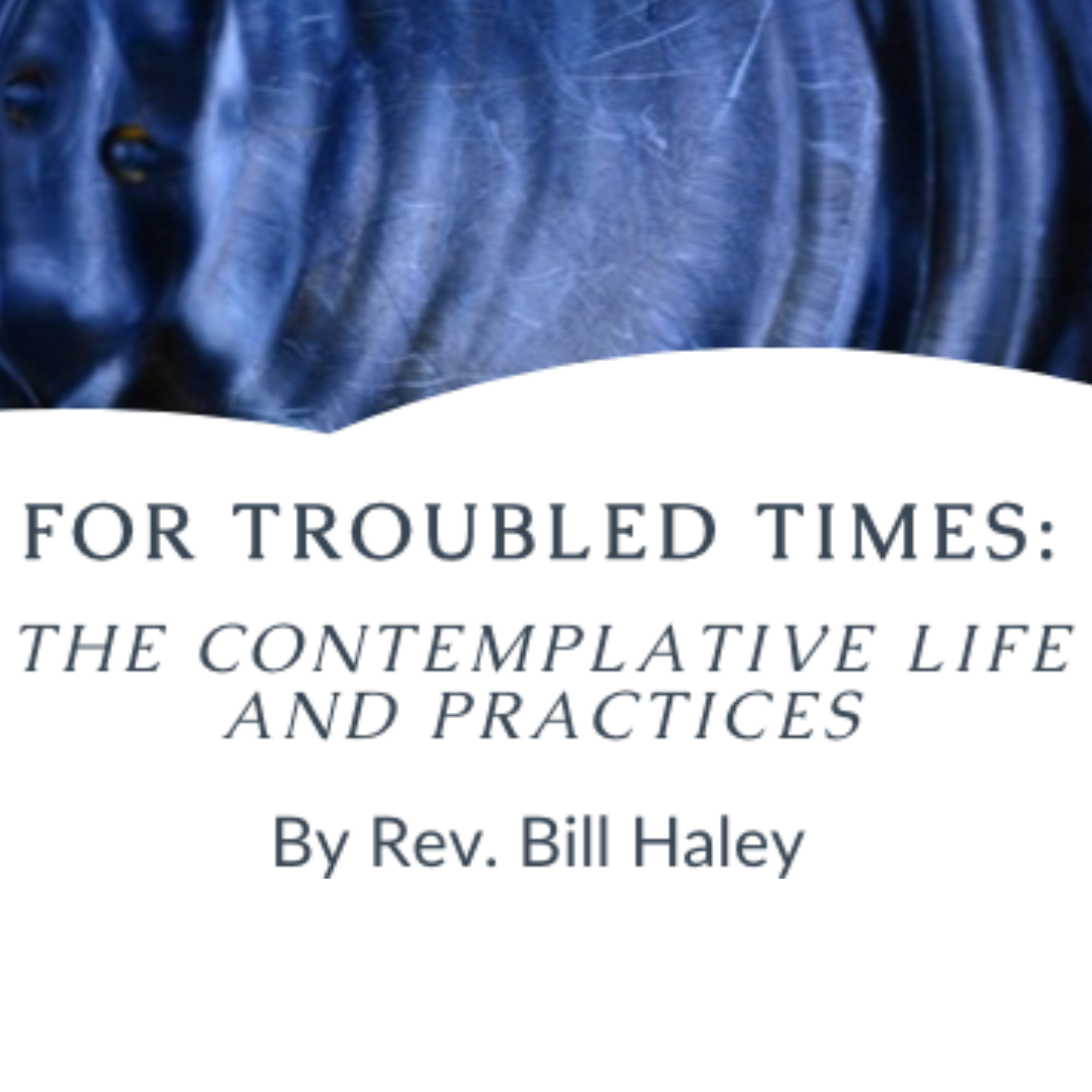 SOUNDINGS: "For Troubled Times: The Contemplative Life and Practices ...