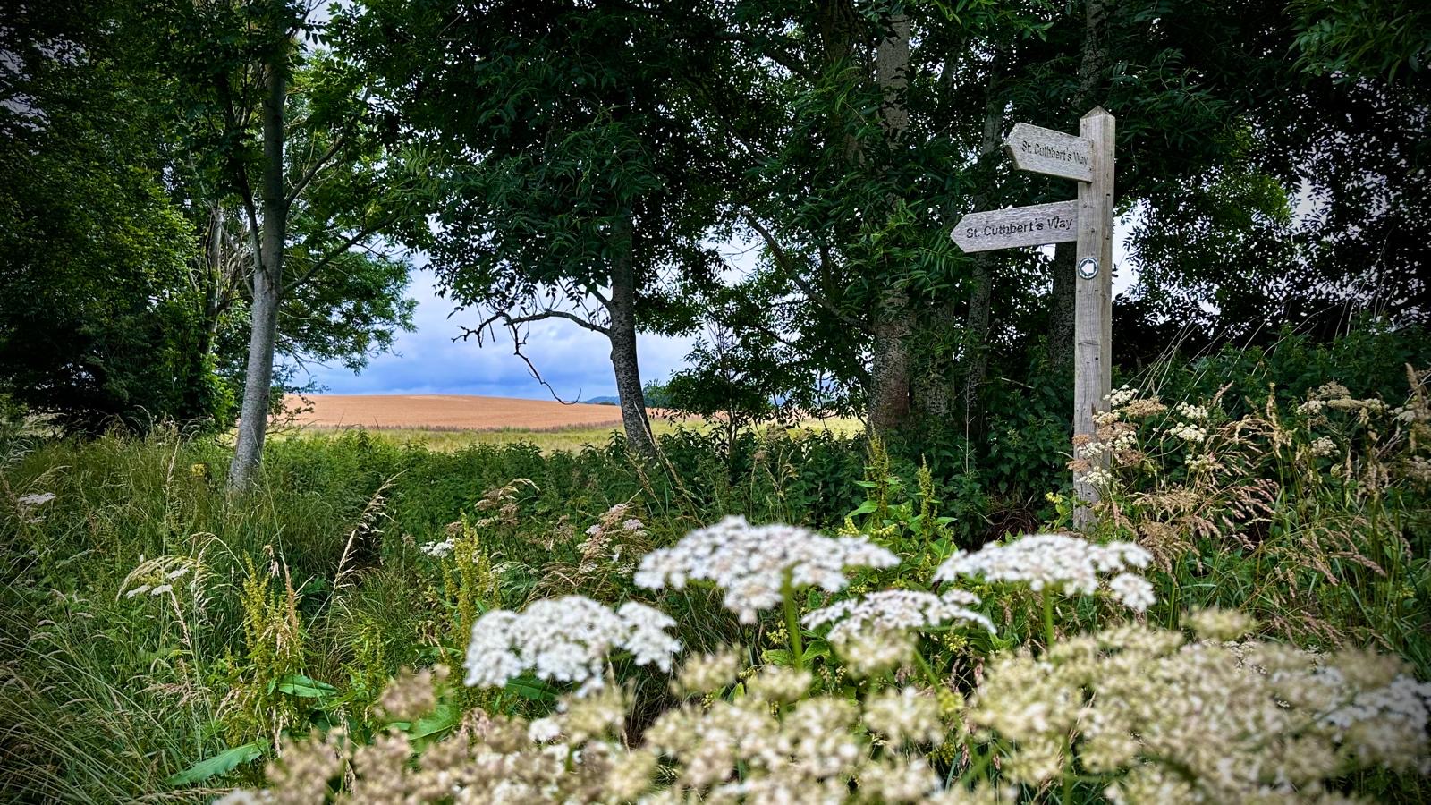 Embracing Being With Jesus on the Way - Coracle